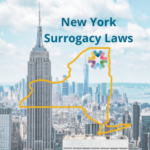 U.S. Surrogacy Law By State | ConceiveAbilities